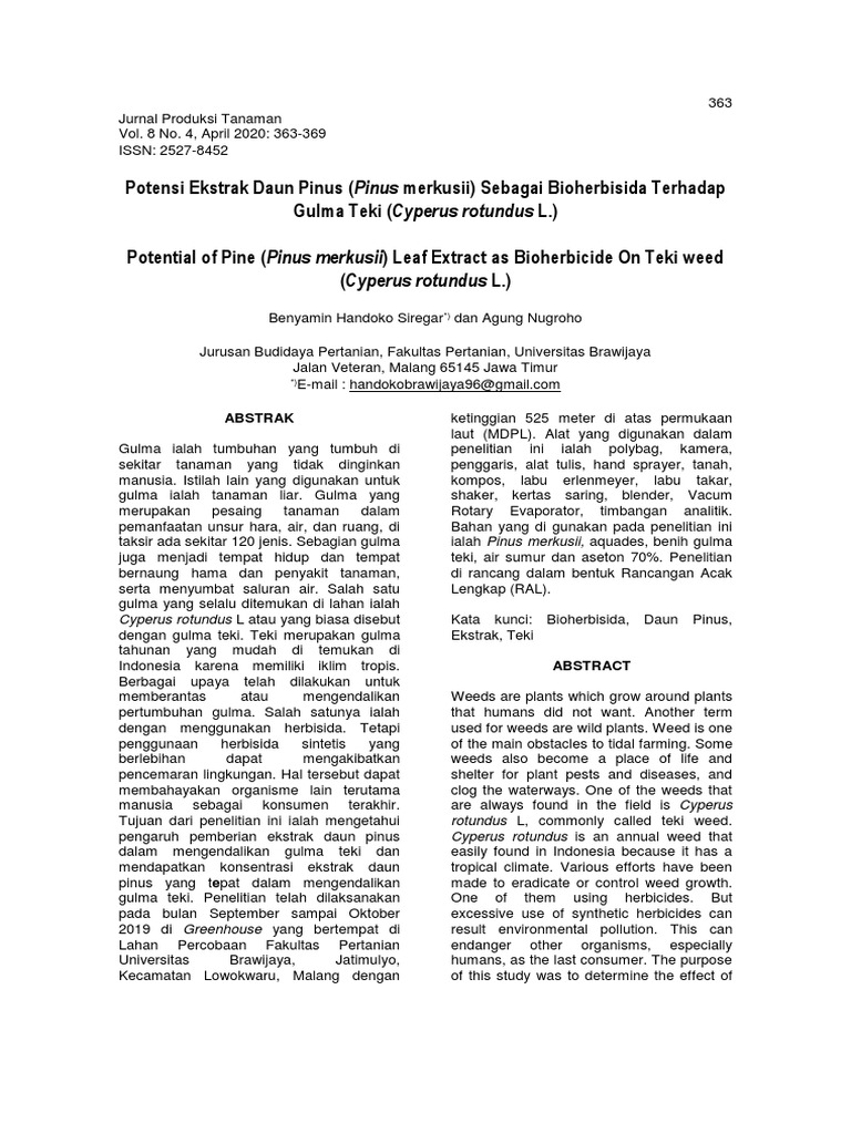 Ekstrak Daun Pinus Sebagai Bioherbisida | PDF
