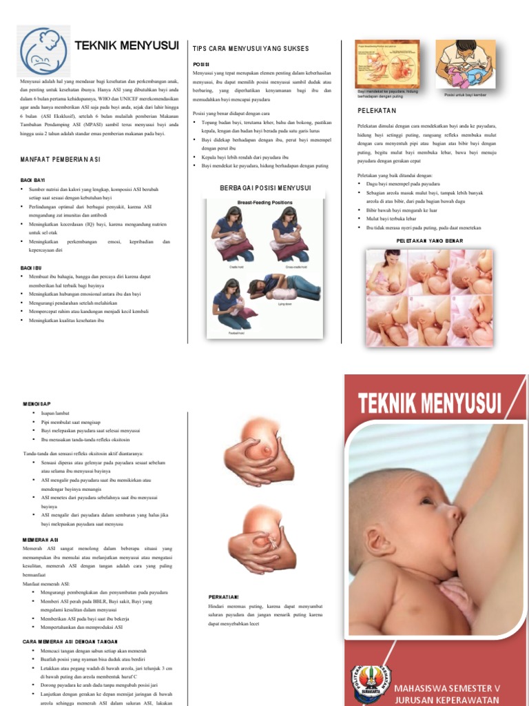 Panduan Posisi dan Teknik Menyusui | PDF