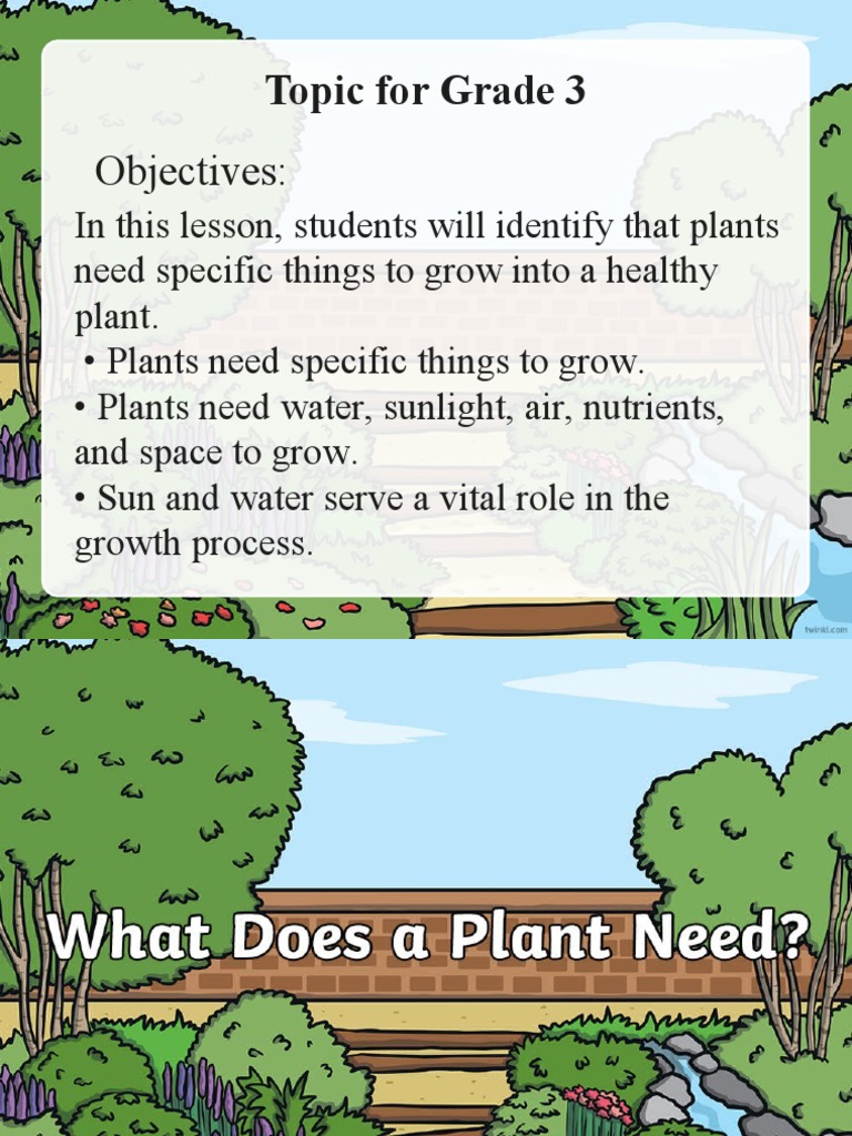 Essential Needs of Plants for Grade 3 | PDF | Plants | Nutrients