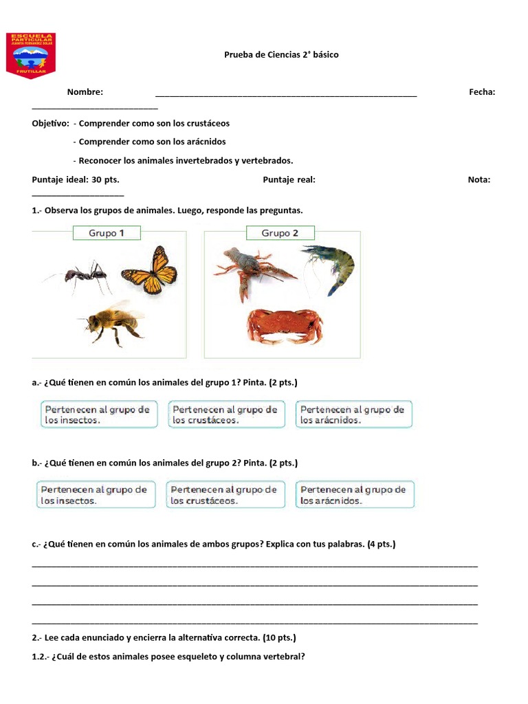 Prueba de Ciencias 2° Básico Agosto | PDF