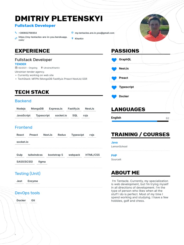 Dmitriy Pletenskyi Resume | PDF | Computer Programming Tools | Software