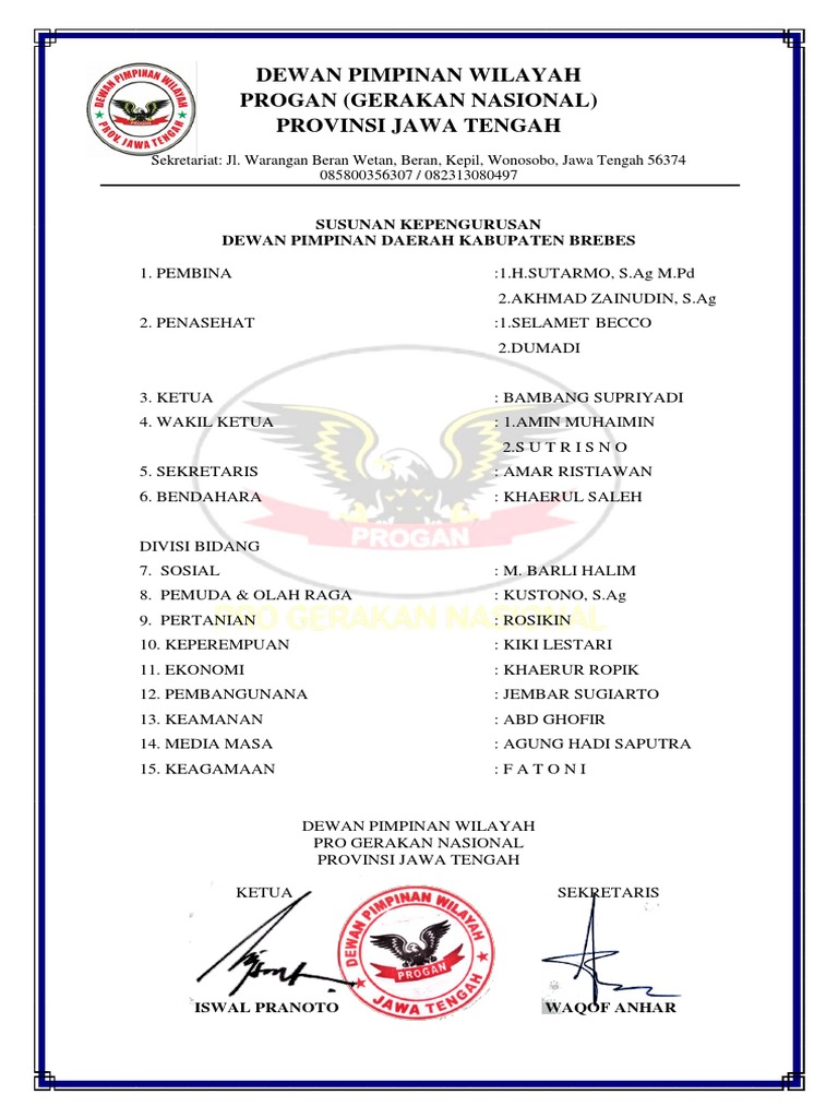 Struktur Organisasi DPD | PDF