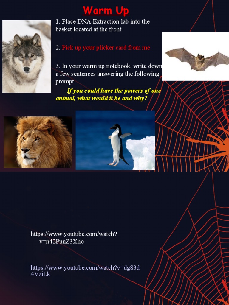 Mutations Powerpoint Pdf Mutation Point Mutation