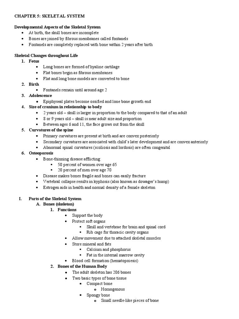 Chapter 5 Skeletal System | PDF | Vertebral Column | Vertebra
