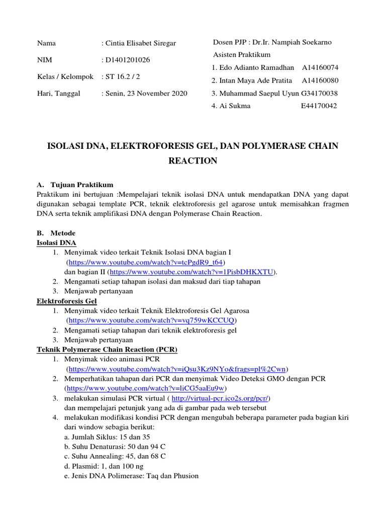 Isolasi DNA, Elektroforesis Gel, Dan PCR | PDF | Sains & Matematika