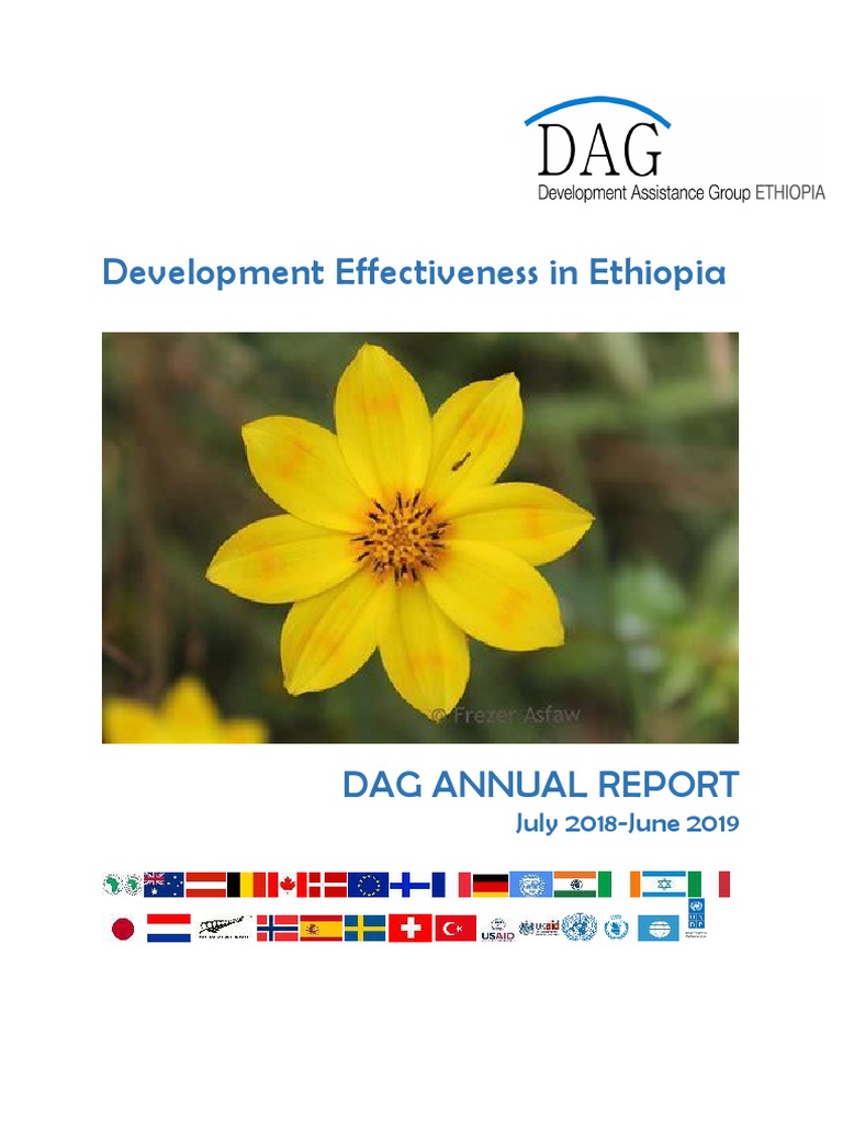DAG Annual Report July2018-June2019 Final . | PDF | Economic Growth ...