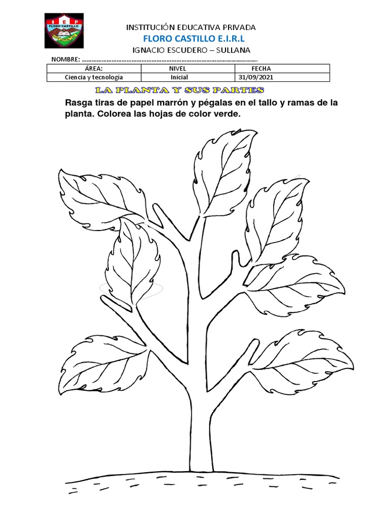 Actividad escolar sobre las partes de una planta y sus necesidades ...