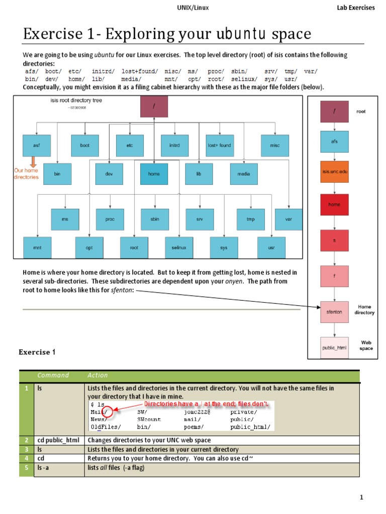 Lab Exercises | PDF | Directory (Computing) | Computer File
