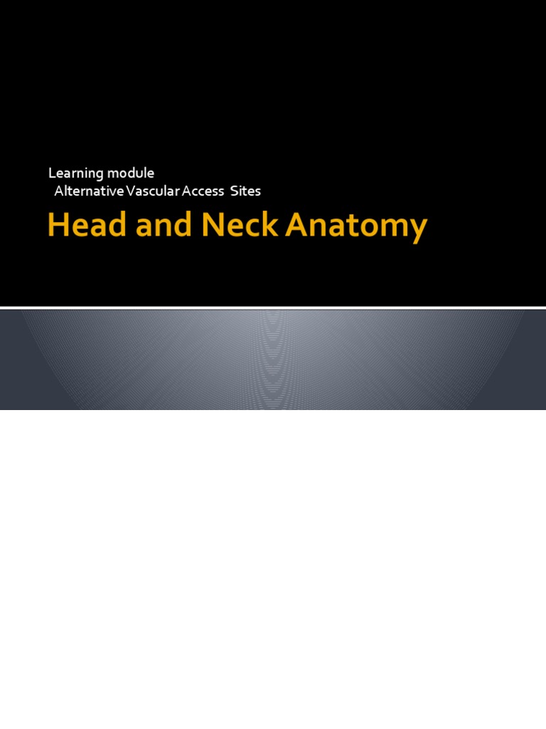 Head And Neck Anatomy PDF