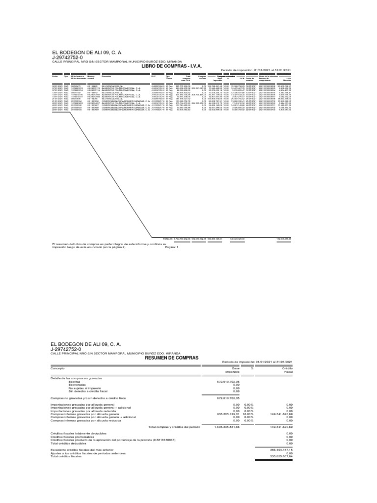 Libro de Compras IVA Enero 2021 | PDF | Economias | Finanzas del gobierno