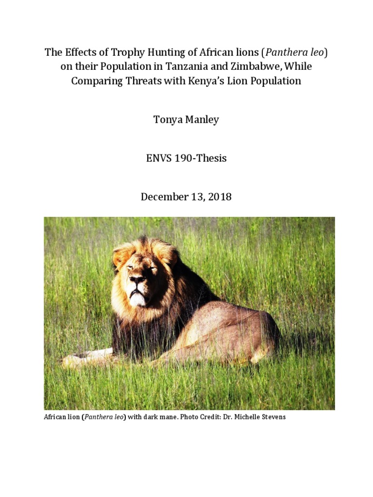 Dark Mane Lions and Trophy Hunting Impact | PDF | Lion | Hunting