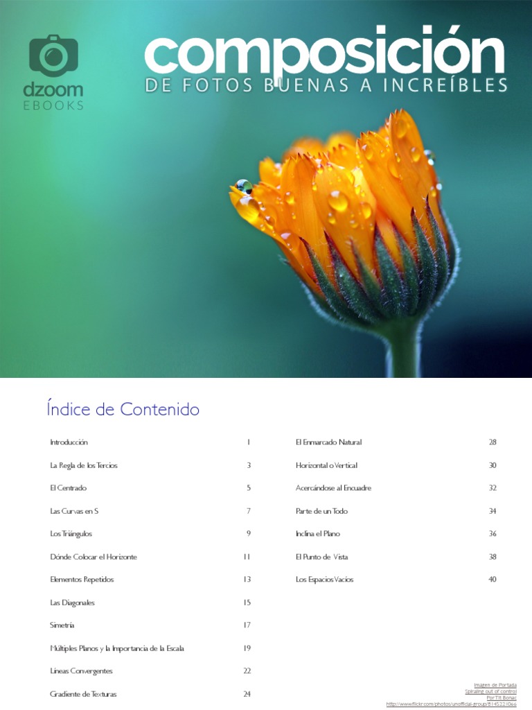 Composicion de Fotos Buenas A Increibles Dzoom Ebooks v1.0 | PDF ...