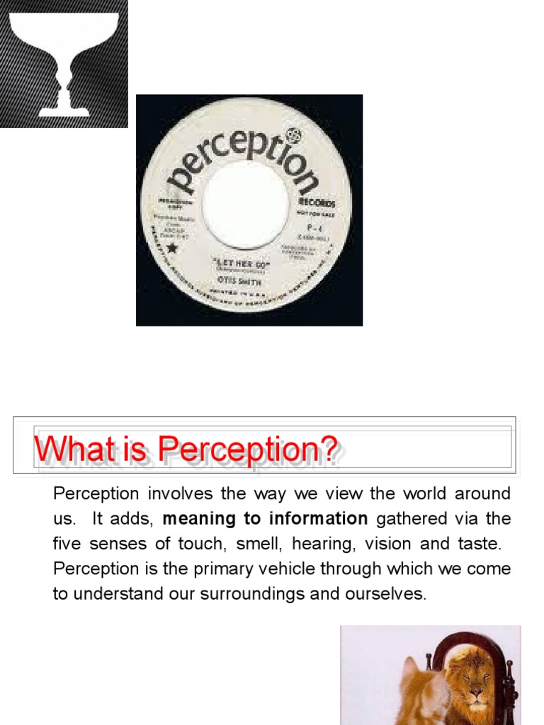 Chapter2 Perception - PPT | PDF | Perception | Attitude (Psychology)