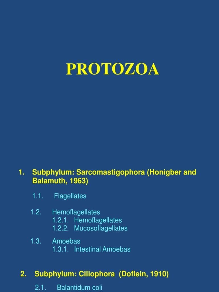 An Introduction to Protozoa: Taxonomy, Structure, Locomotion, Nutrition ...