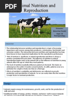 Customized Heifer Growth Chart | PDF | Dairy Cattle | Calf