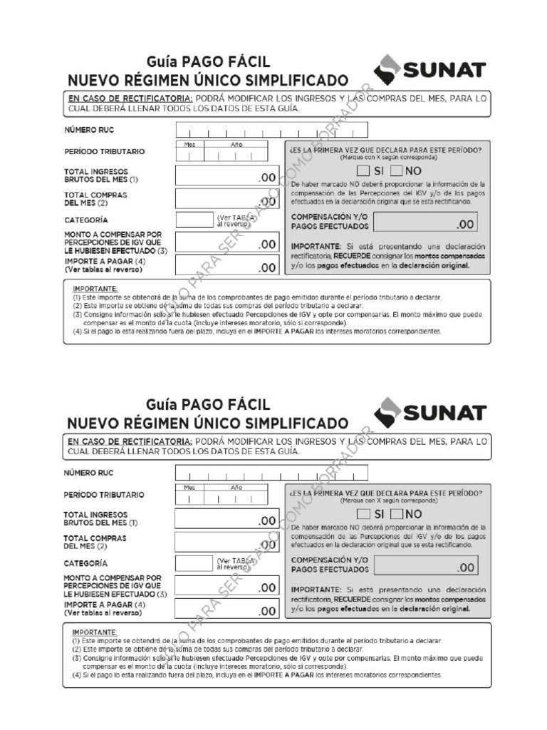 Formato Pago Rus | PDF