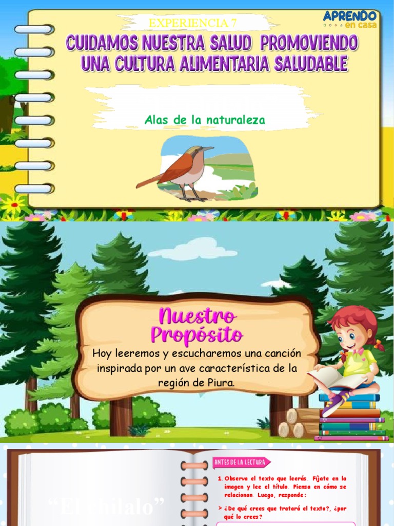 S21 - Lectura - Iv-El Chilalo | PDF | Cognición