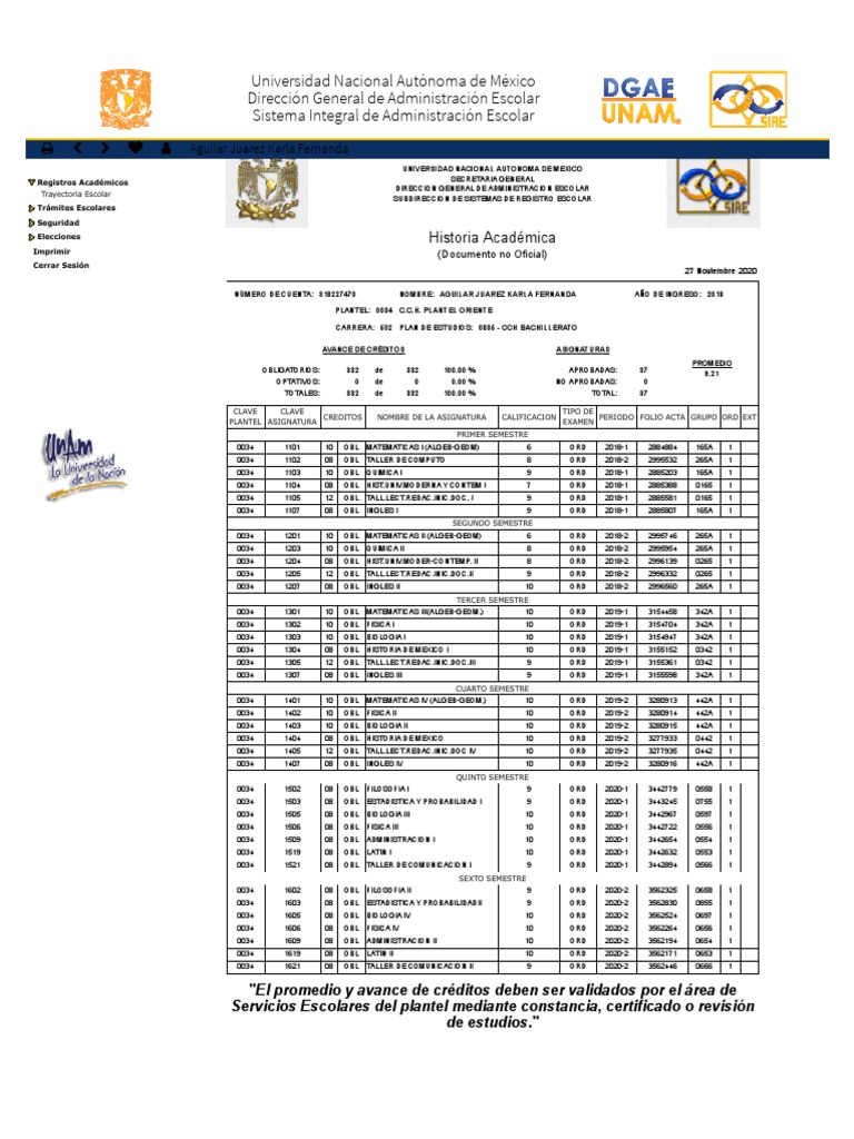 SIAE (Panel de Control) | PDF