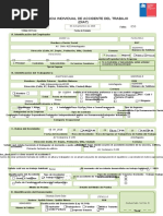 DIAT Word Formato | PDF