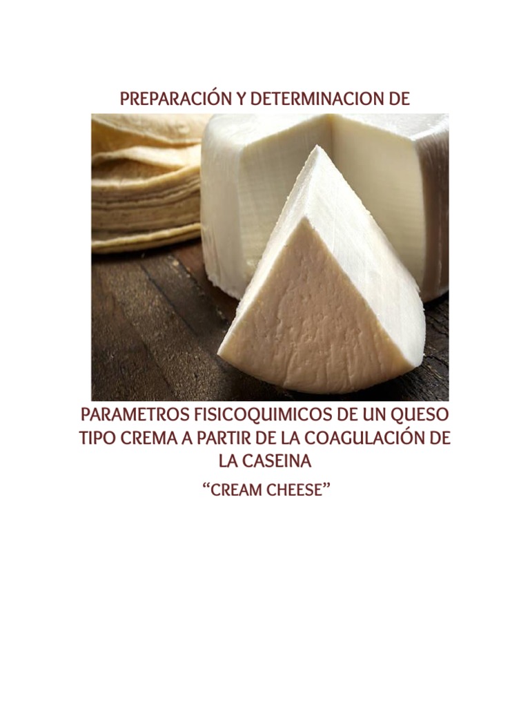 Proyecto Del Queso | PDF | Queso | Leche