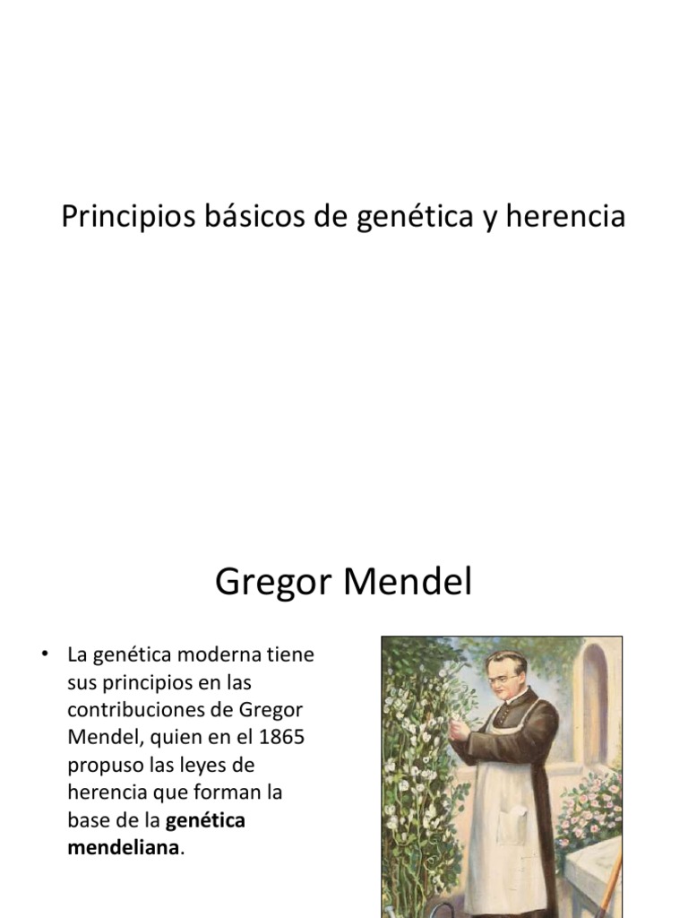 Principios de Genética y Herencia Mendeliana | PDF | Dominancia ...