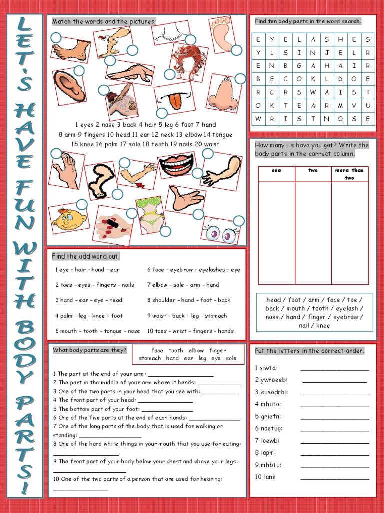 Body Parts Exercises and Activities | PDF | Hand | Foot