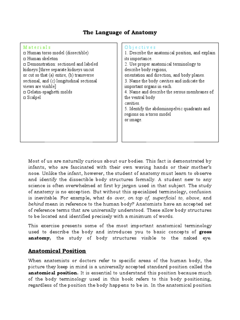 The Language of Anatomy P1 | PDF | Anatomical Terms Of Location | Anatomy