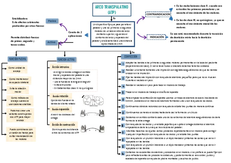 Mapa Atp Ortodoncia | PDF | Ramas de Odontología