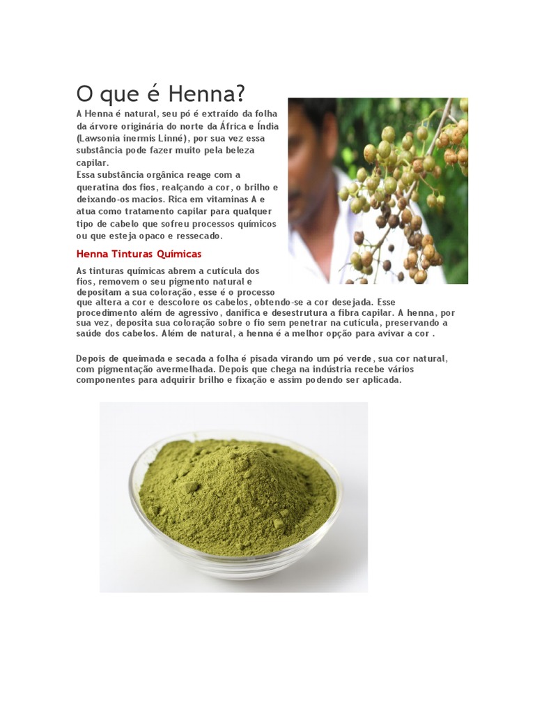 Apostila de Henna | PDF | Cabelo