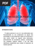 Protocolo Blue | PDF | Enfermedades y trastornos | Neumología