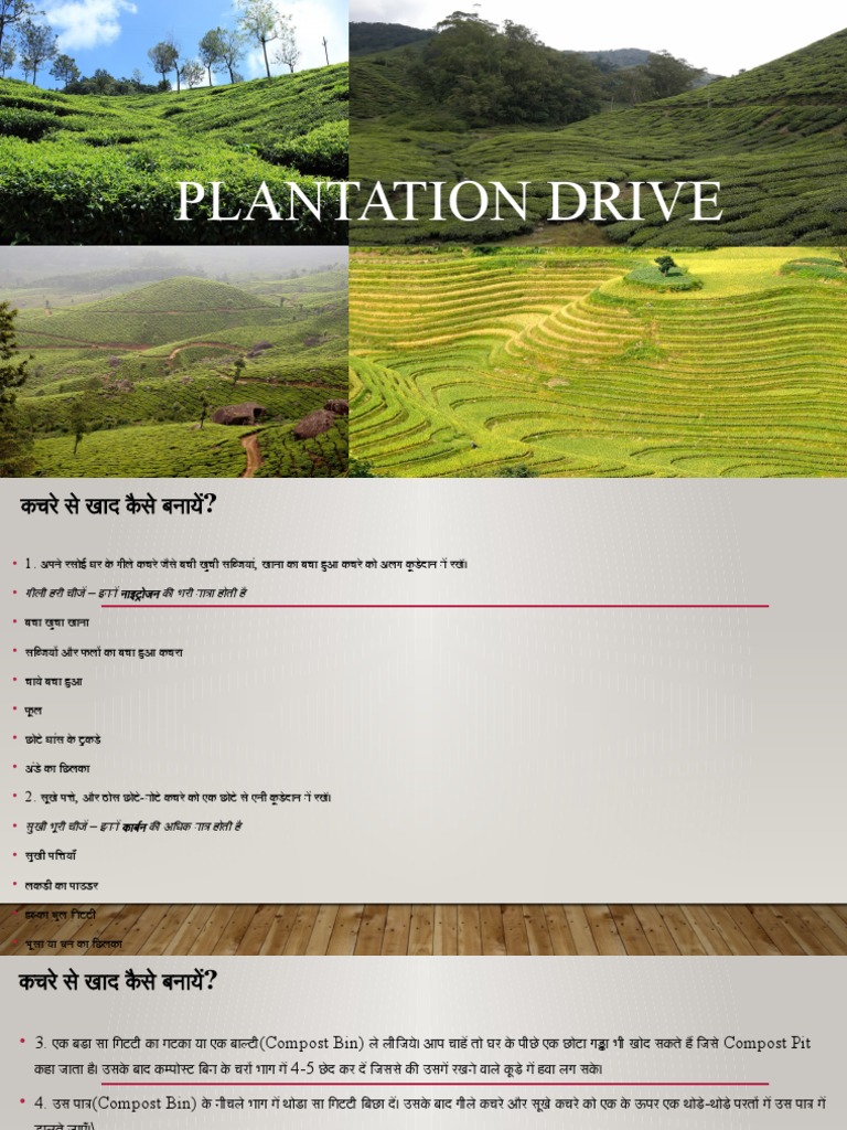 Plantation Drive | PDF