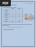 Cell Parts Functions Worksheet | PDF | Cell Nucleus | Cell (Biology)