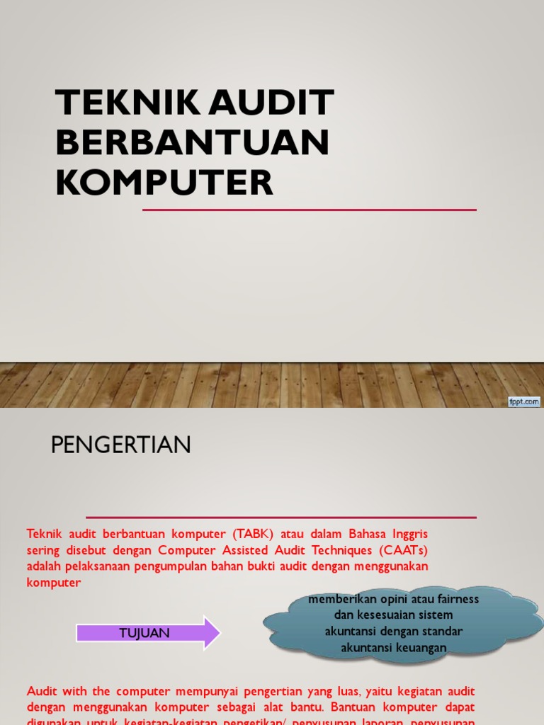 p10 - Teknik Audit Berbantuan Komputers | PDF