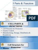 Cells Cheat Sheet | PDF | Cell (Biology) | Endoplasmic Reticulum