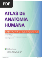 Prometheus - Atlas de Anatomía | PDF