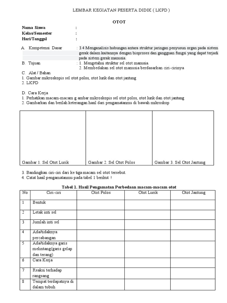 LKPD Otot | PDF