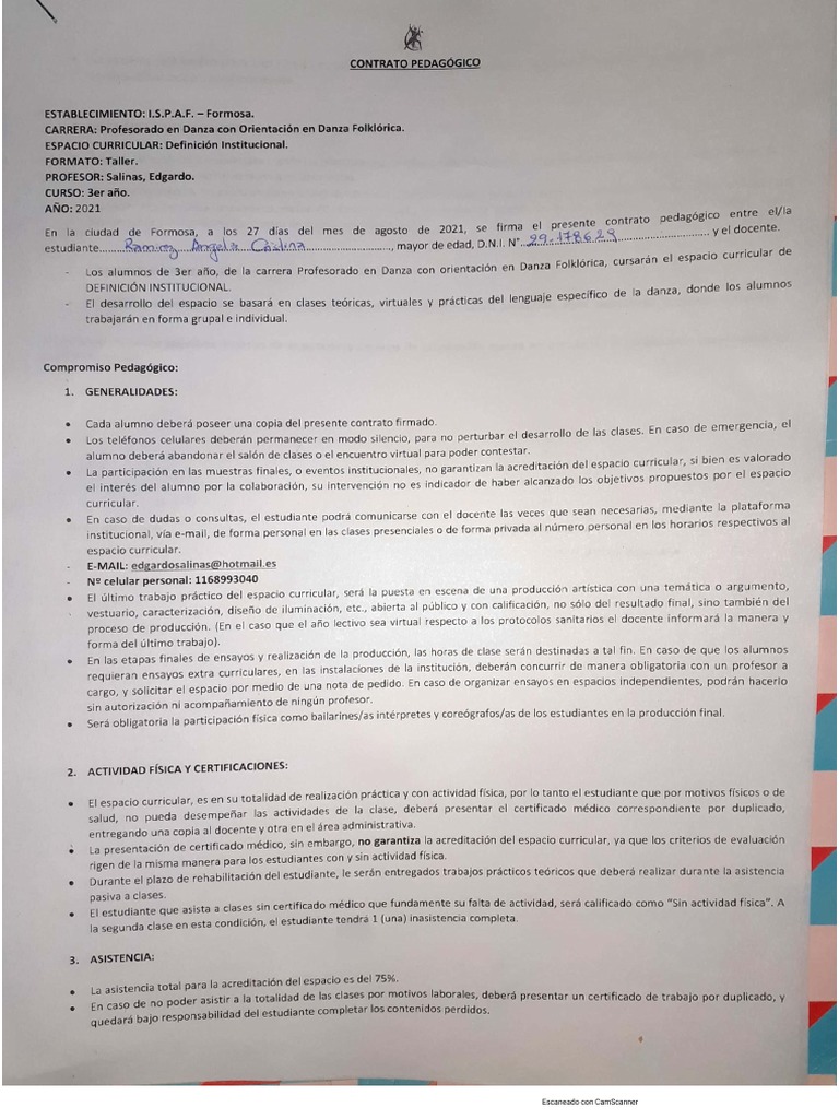 Definición Institucional | PDF