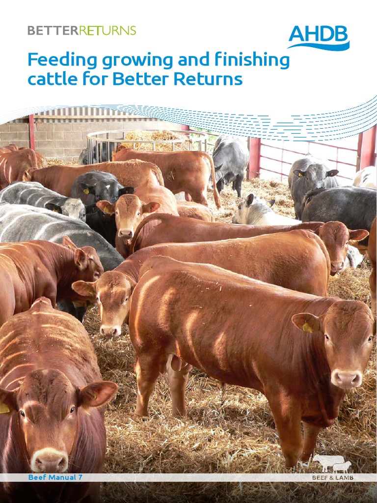Feeding Growing and Finishing Cattle For Better Returns: Beef Manual 7 ...