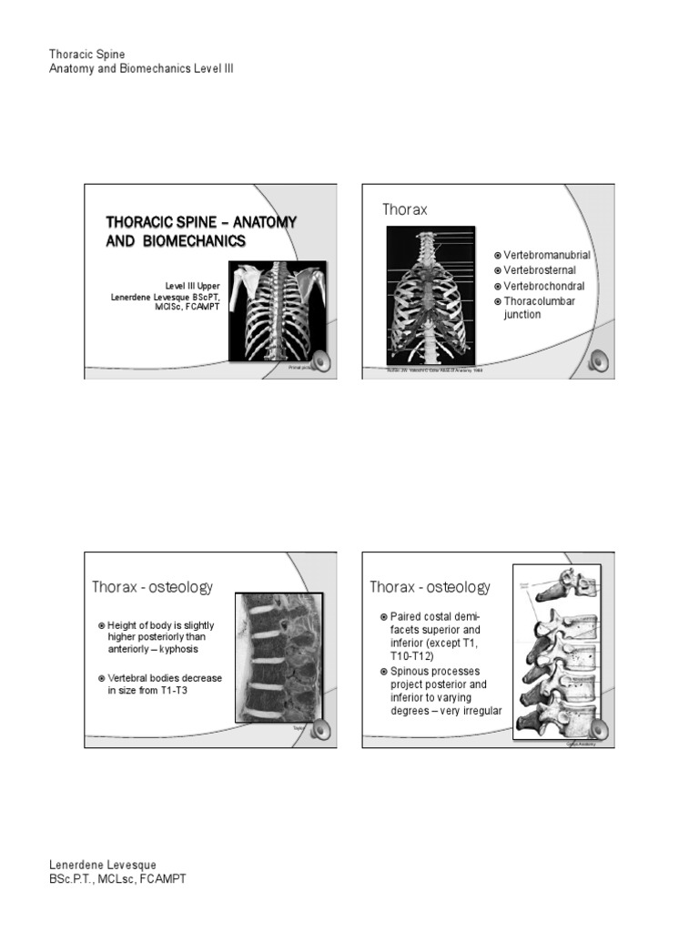 Thorax: Thoracic Spine Anatomy and Biomechanics Level III | PDF ...