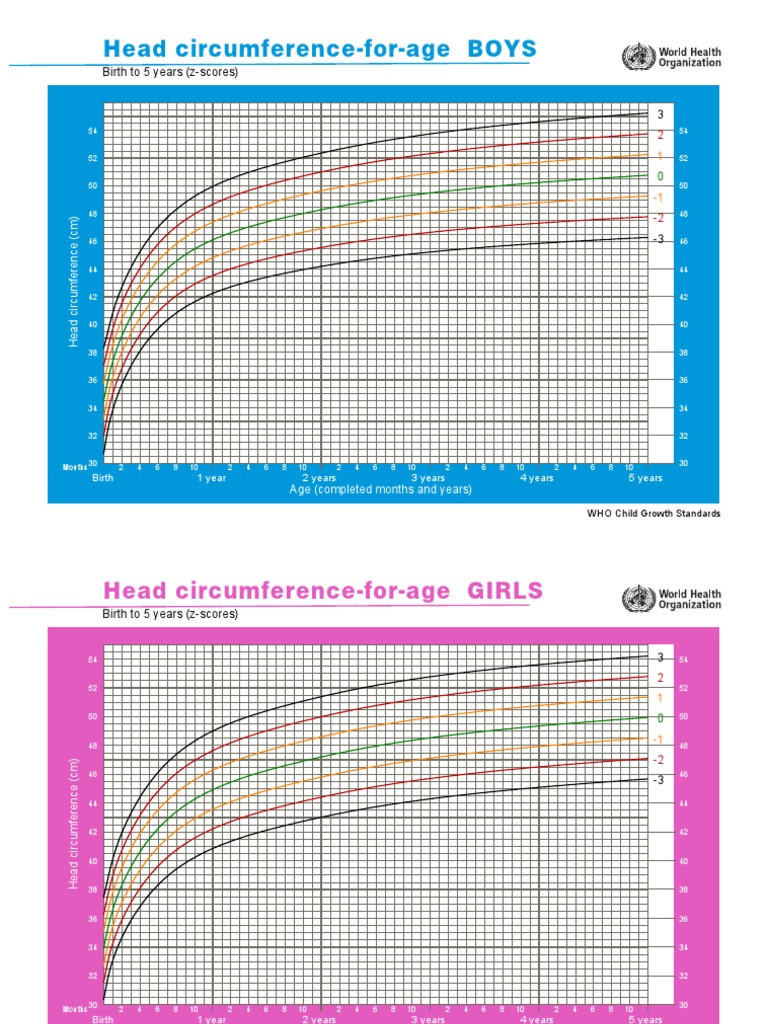Head Circumference-For-Age BOYS: Birth To 5 Years (Z-Scores) | PDF ...
