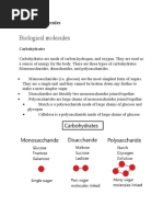 IGCSE Biology Past Year Questions - Enzymes | PDF | Biotechnology ...