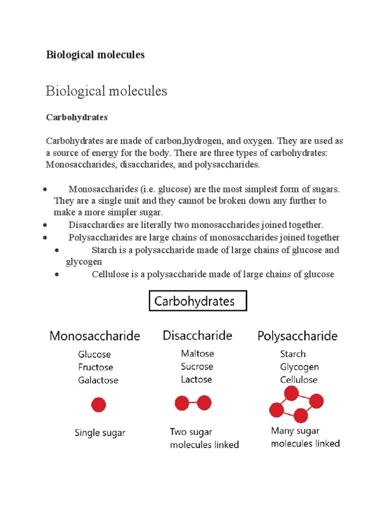 IGCSE Biology Chapter 4: Biological Molecules | PDF | Carbohydrates ...