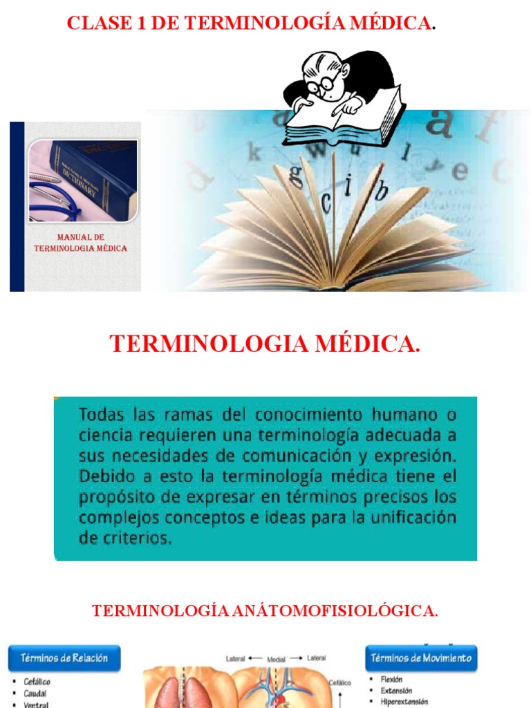 Clase 1 de Terminologia Medica. 2 | PDF | Lingüística | Idiomas