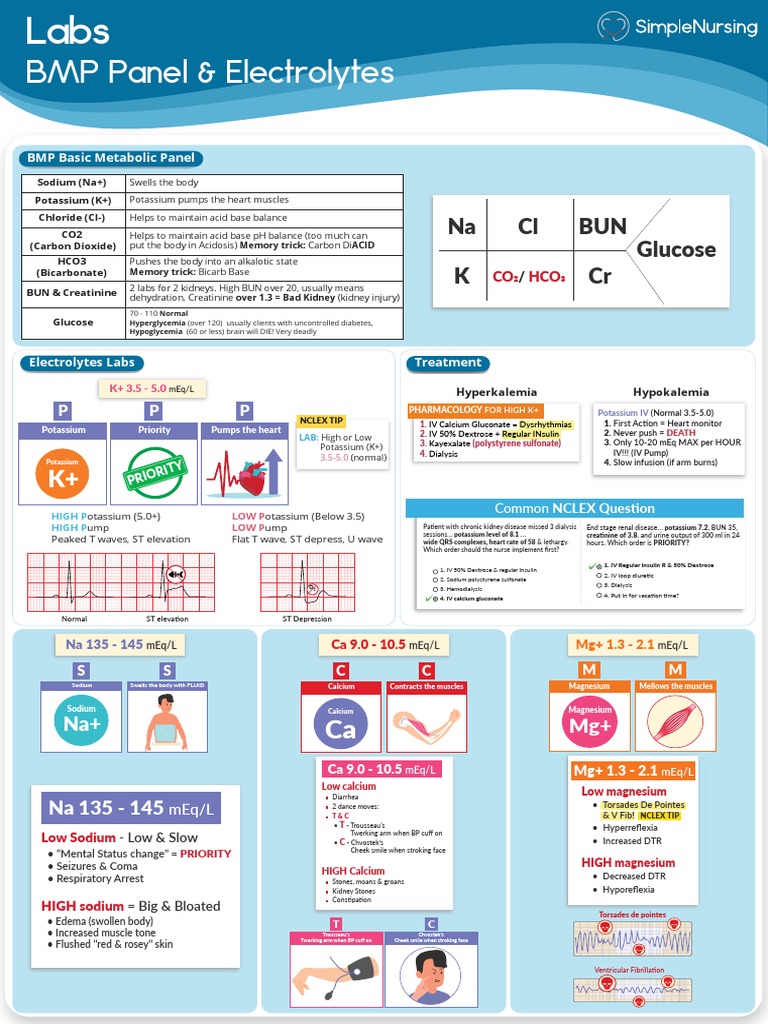 Basic Metabolic Panel Overview | PDF | Electrolyte | Diseases And Disorders