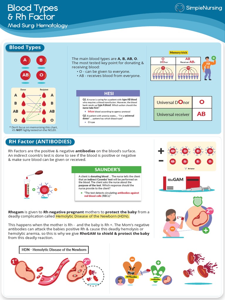 Blood Types and Rh Factor Overview | PDF | Blood Type | Histology