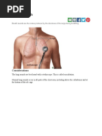 Silverman Anderson Index | PDF | Breathing | Respiratory Tract