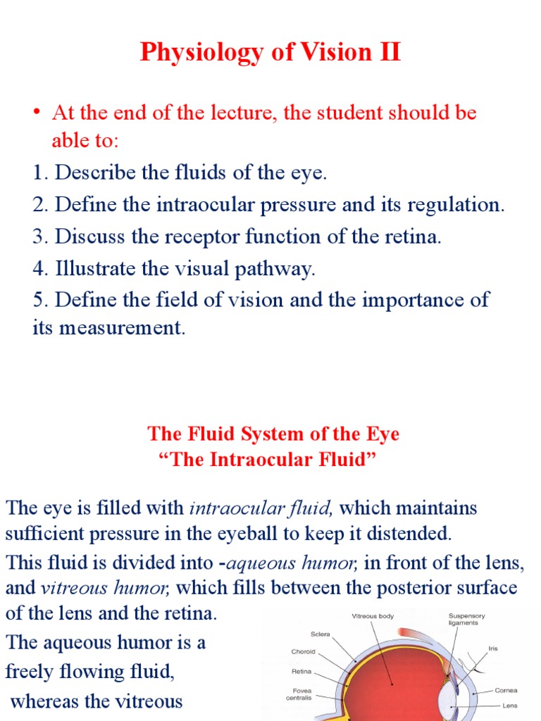 Physiology of Vision II: - at The End of The Lecture, The Student ...