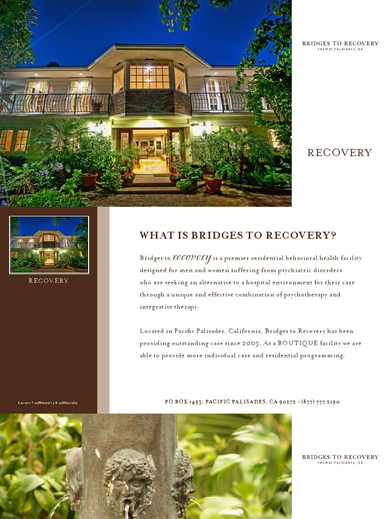 Bridges To Recovery Brochure | PDF | Psychotherapy | Mental Disorder
