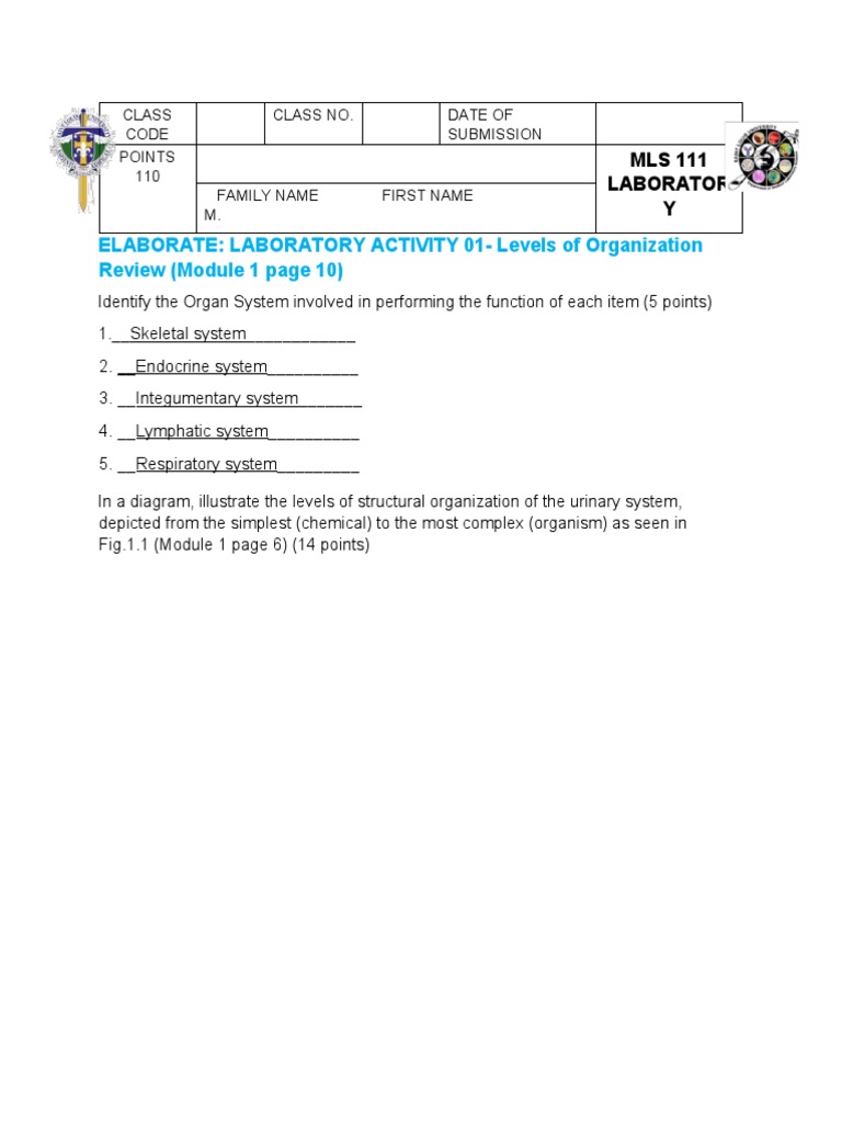 Anatomy and Physiology Laboratory Activities and Assessments | PDF ...