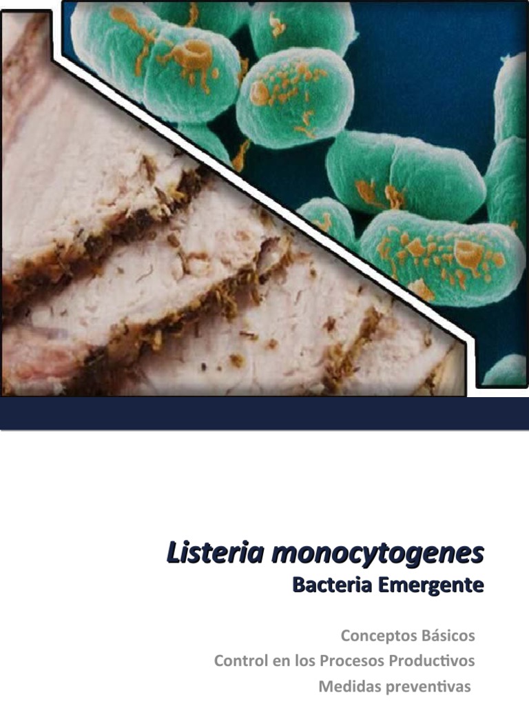 Listeria 2021 | PDF | Alimentos | Las bacterias